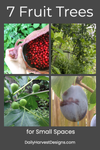 Seven of my Favorite Fruit Trees for Small Gardens — Daily Harvest Designs