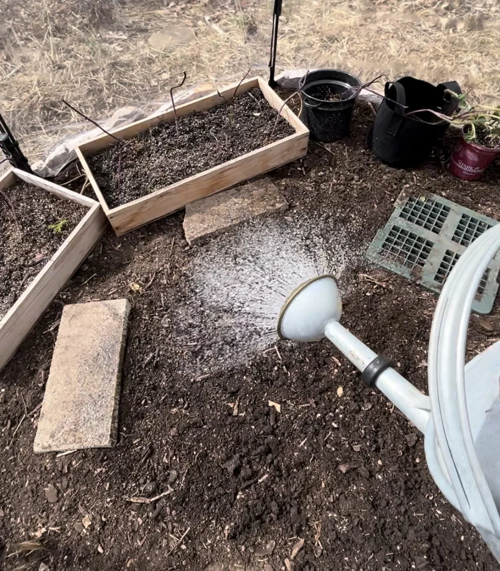 How to Compost Like a Pro: A Comprehensive Guide — Daily Harvest Designs