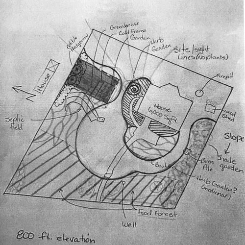 Quick Layout Sketch — Daily Harvest Designs