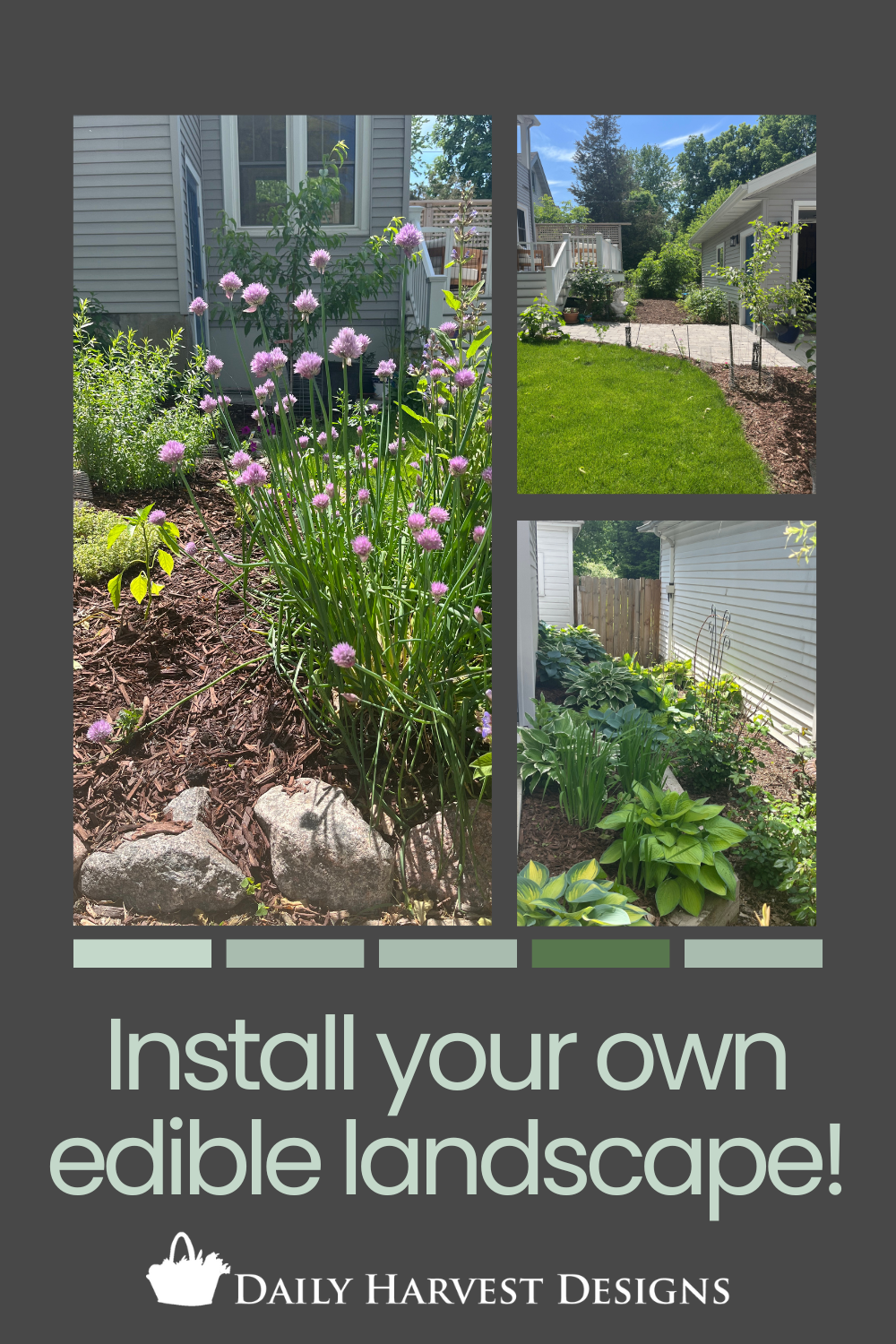 Client-Installed Edible Landscape Design, Ecological Landscape Design ...