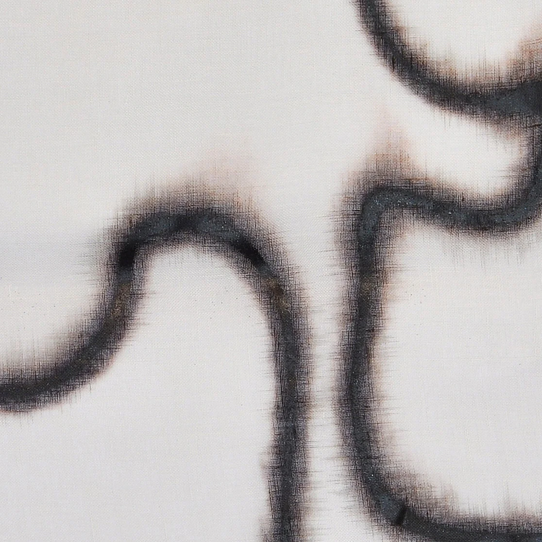 SERPENTINA — Carolyn Ray