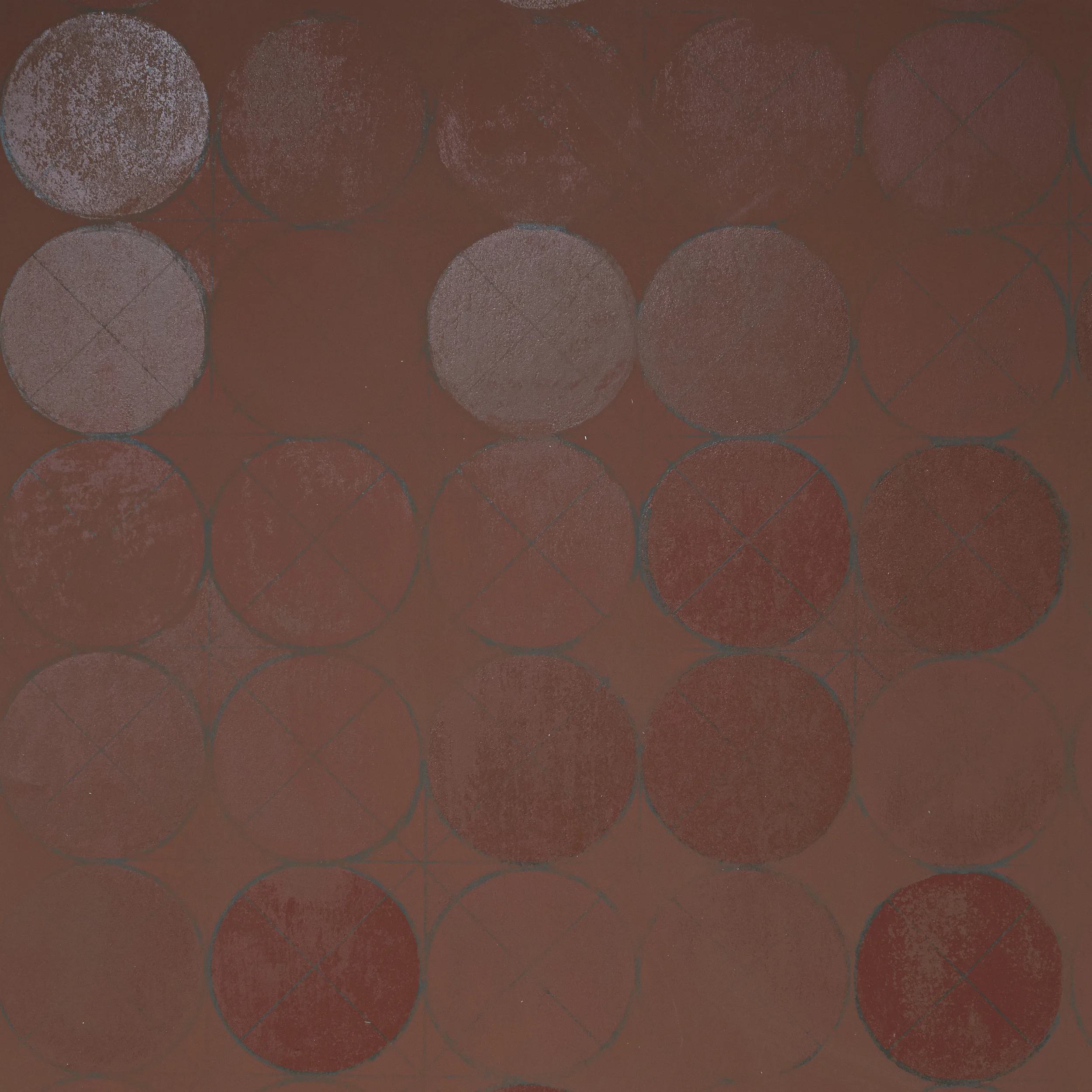 SNAP — Carolyn Ray