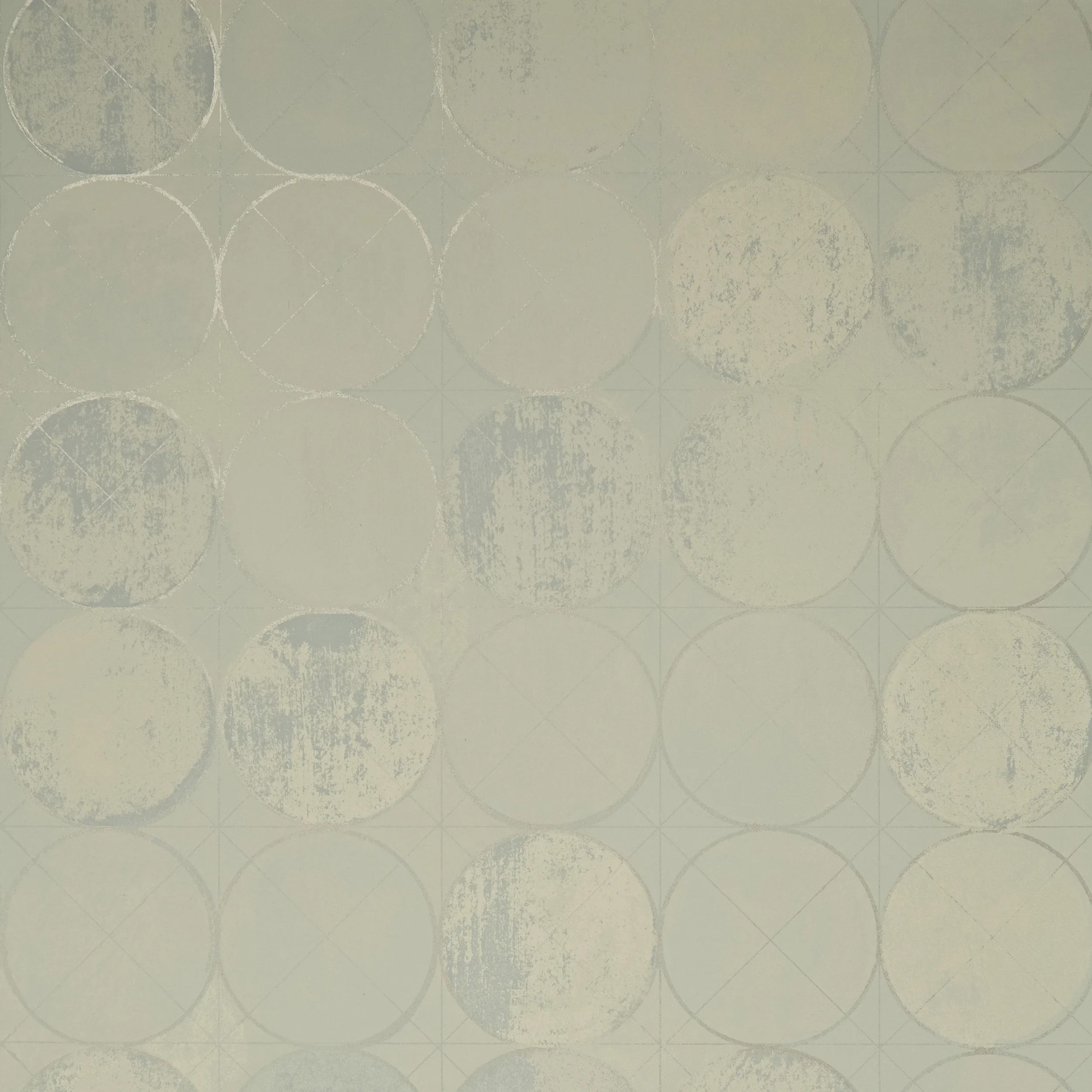 SNAP — Carolyn Ray