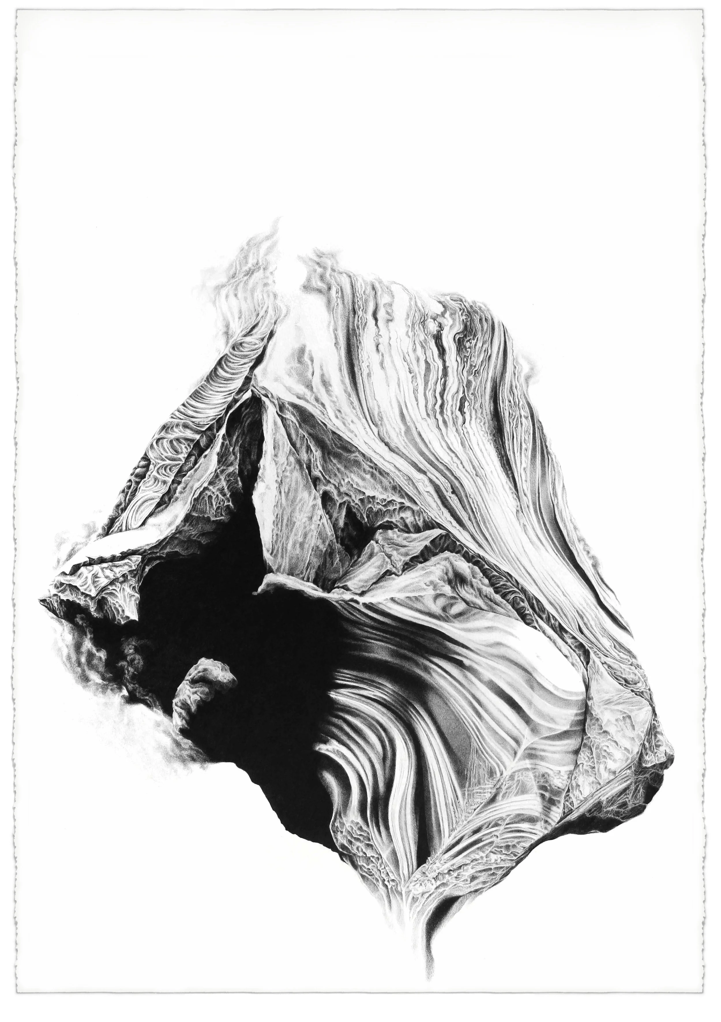 Work — Elizabeth Sims