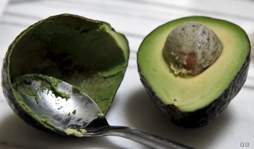 Lemon Chickpea Salad — Grateful Grazing