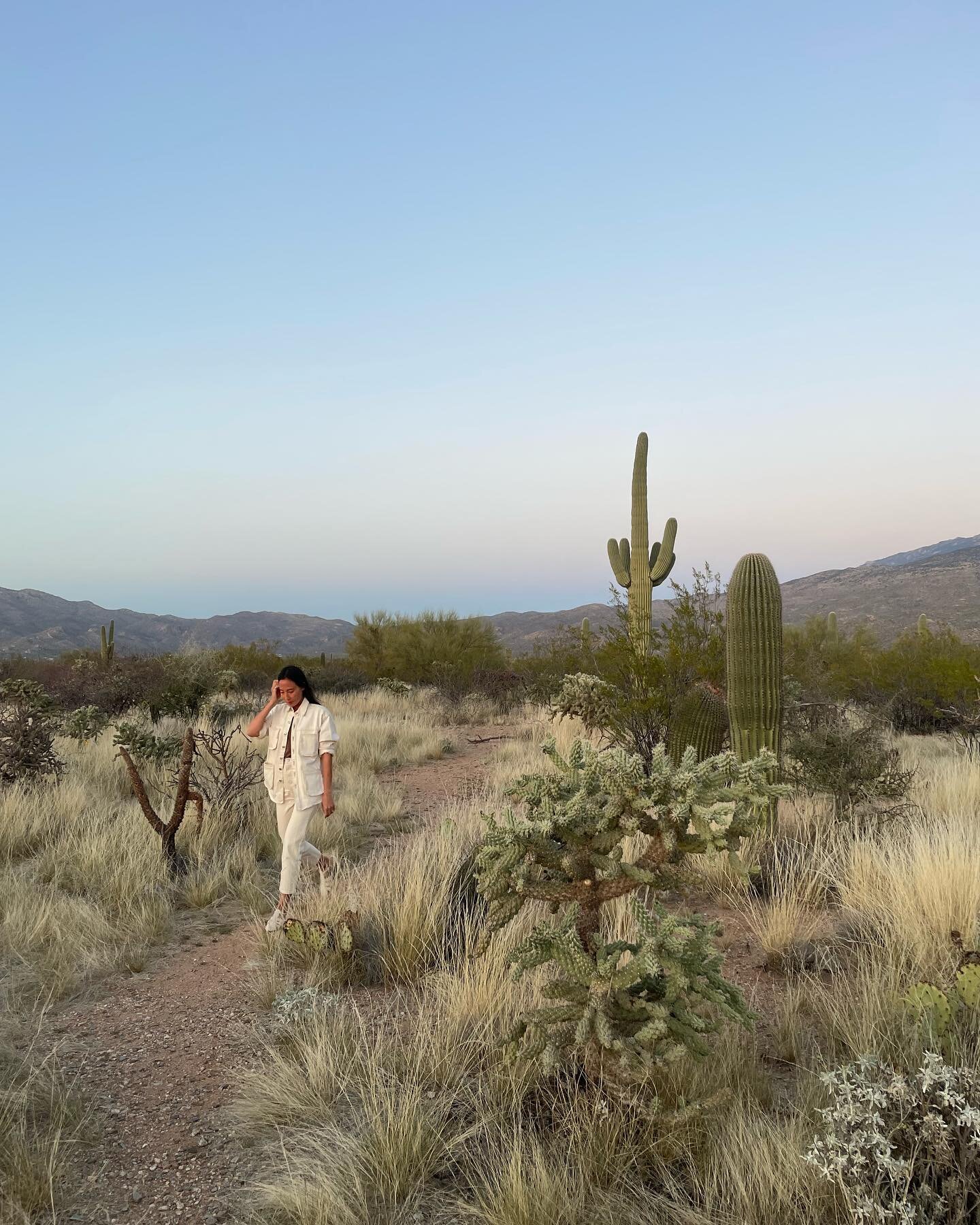 The Bones of J.R. Jones | Official Site — The Bones of J.R. Jones