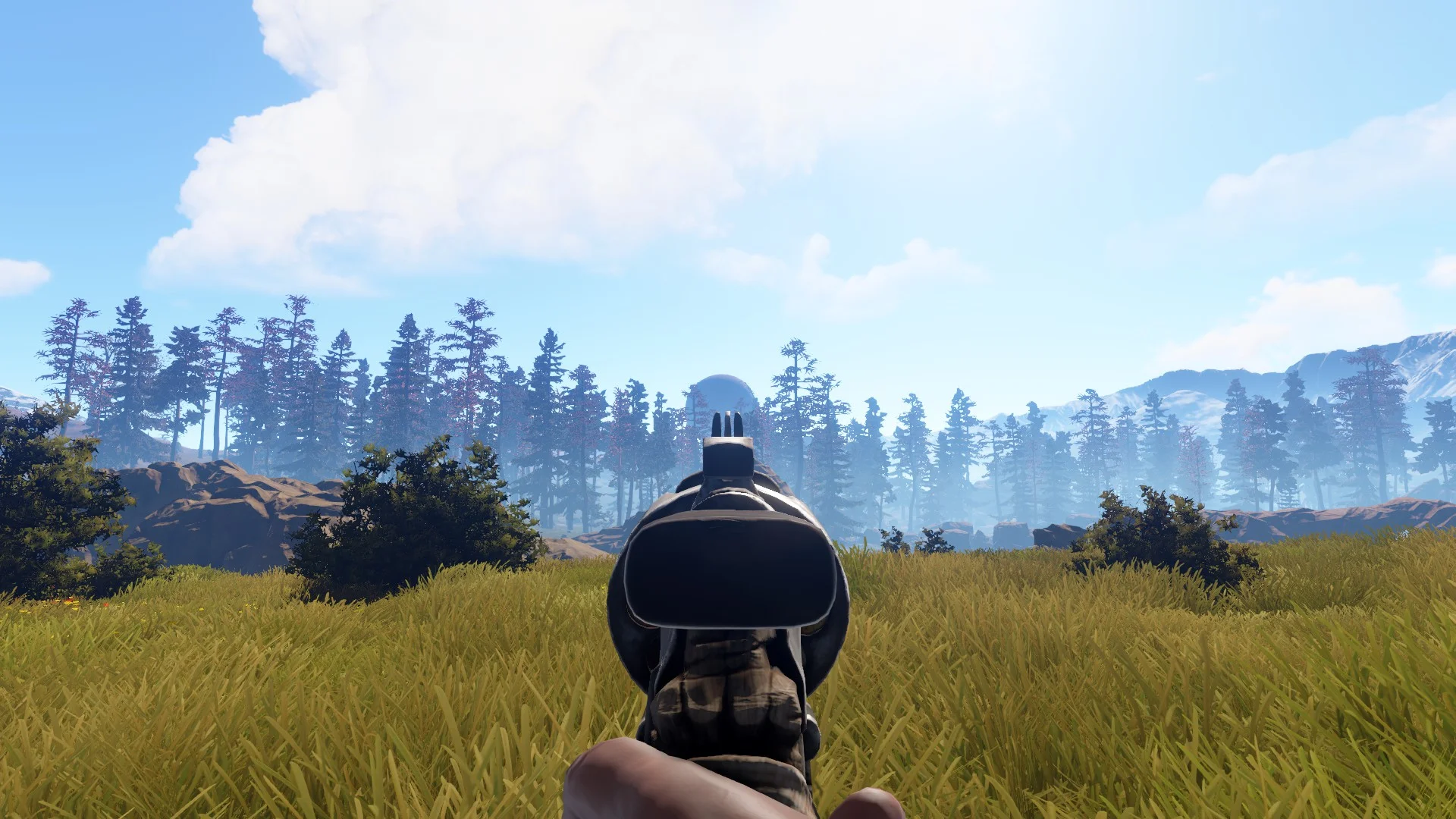 Guns in Rust — Rustafied