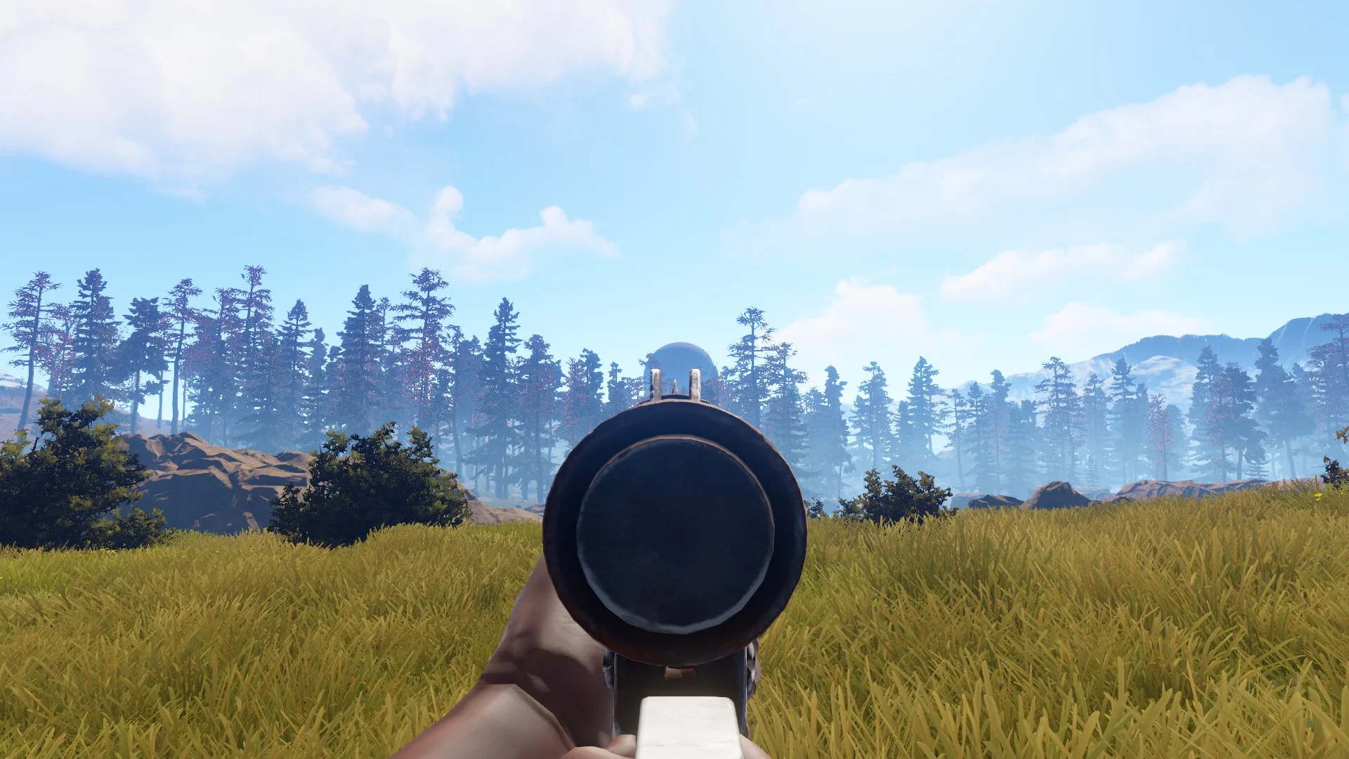 Guns in Rust — Rustafied