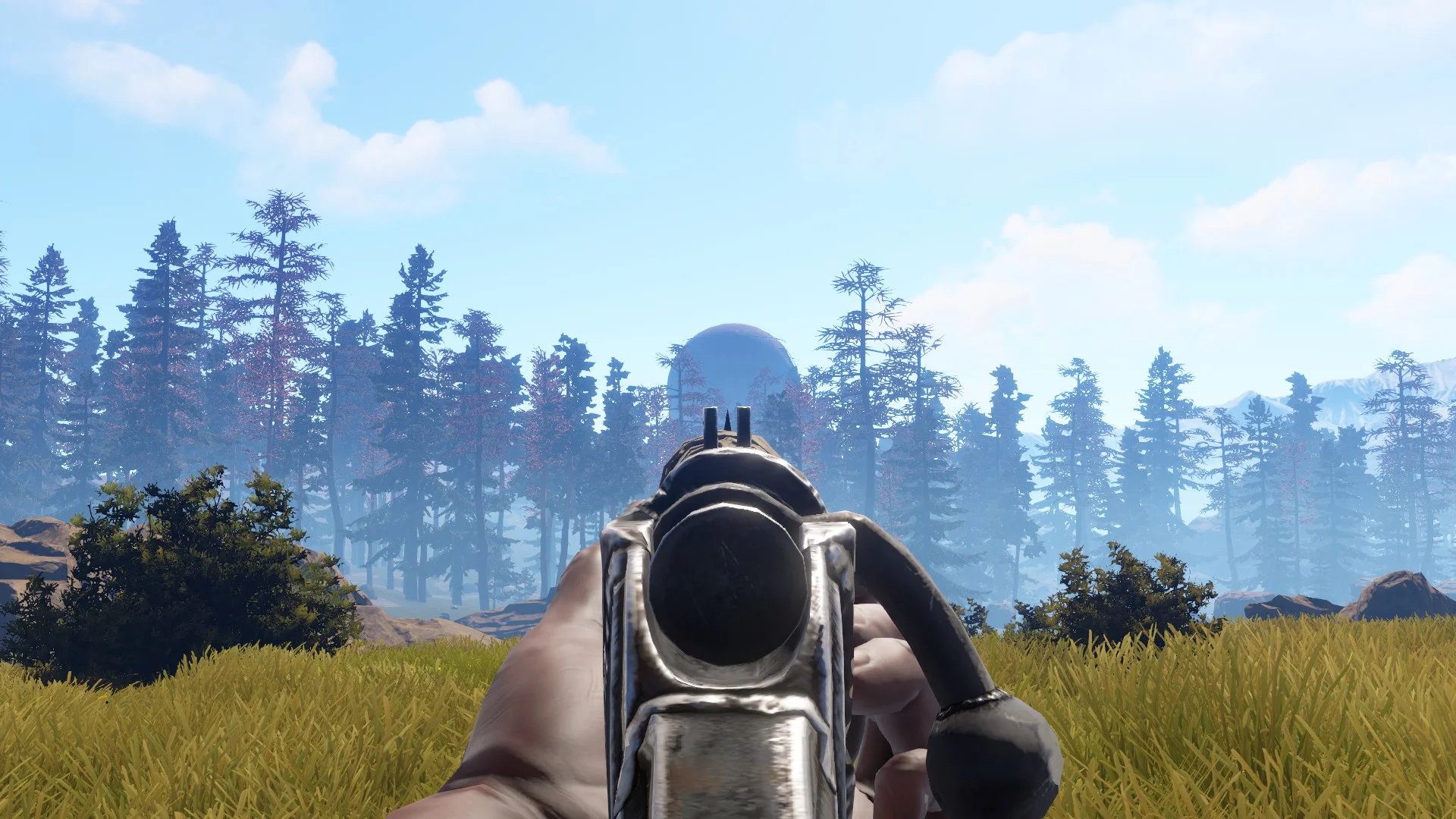 Guns in Rust — Rustafied