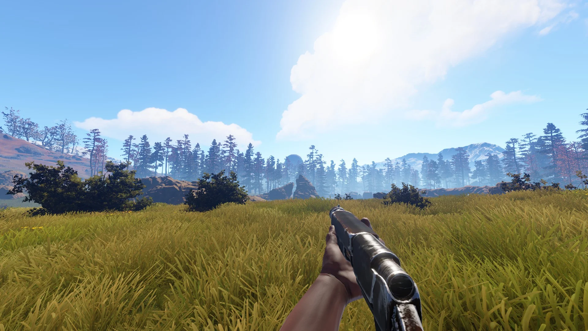 Guns in Rust — Rustafied