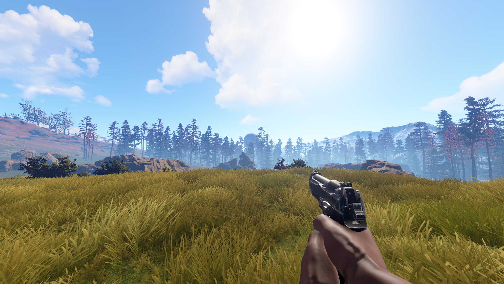 Guns in Rust — Rustafied