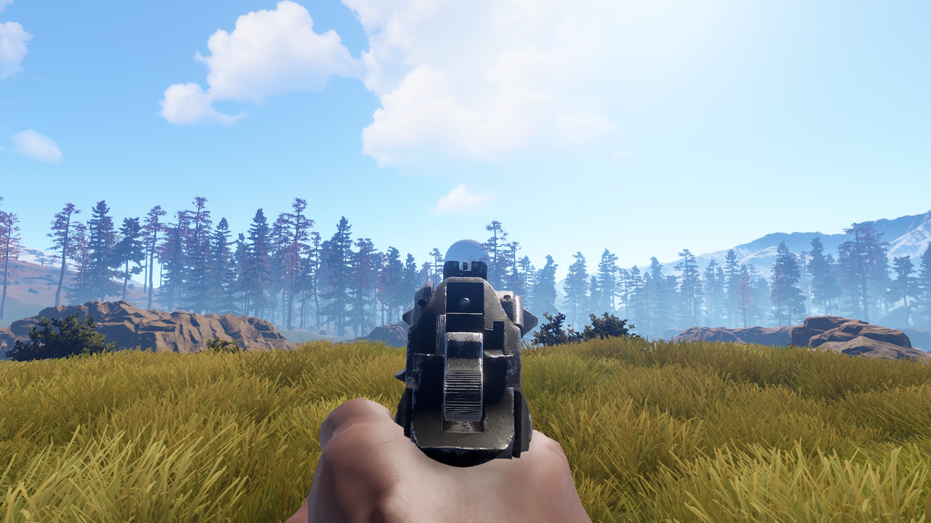 Guns in Rust — Rustafied