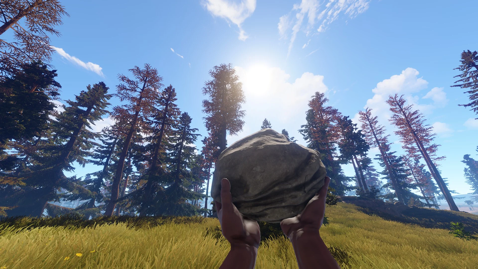 Tools: Start getting handy — Rustafied