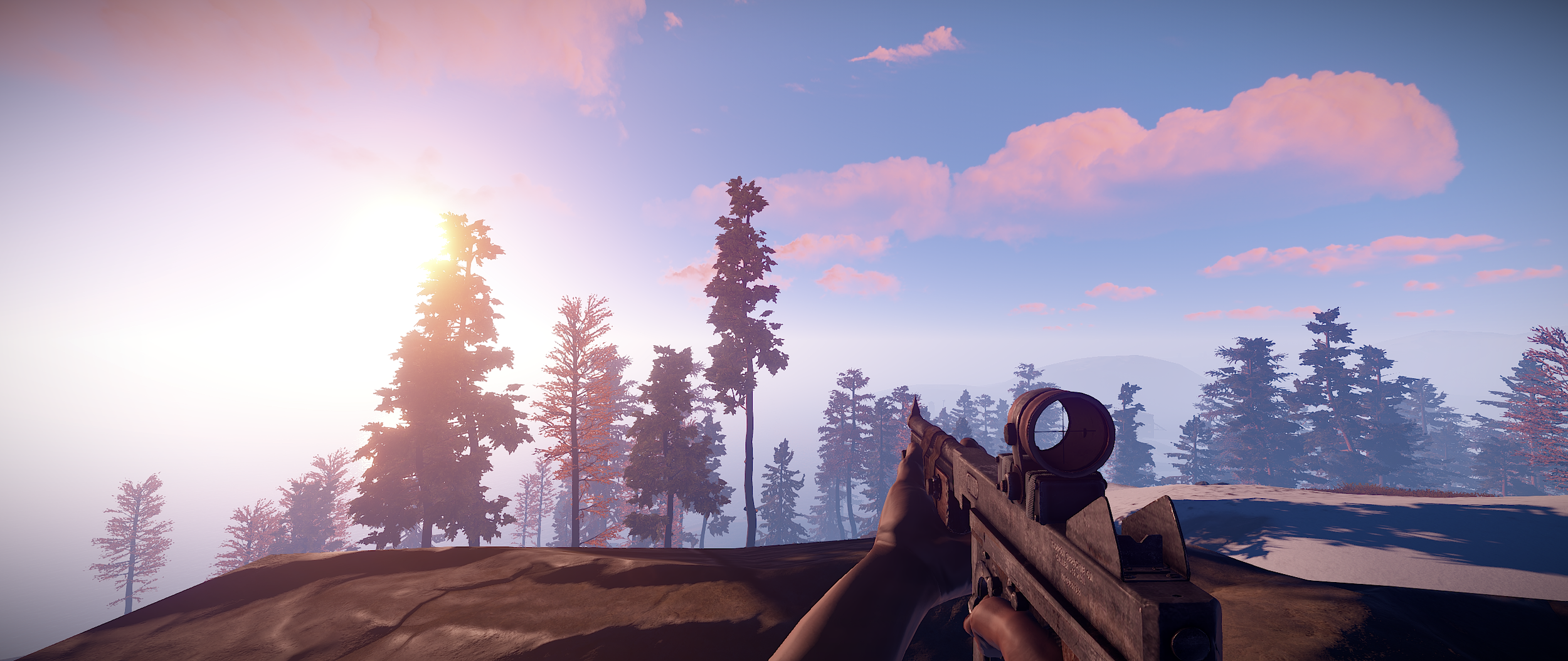 Simple handmade sight added! — Rustafied