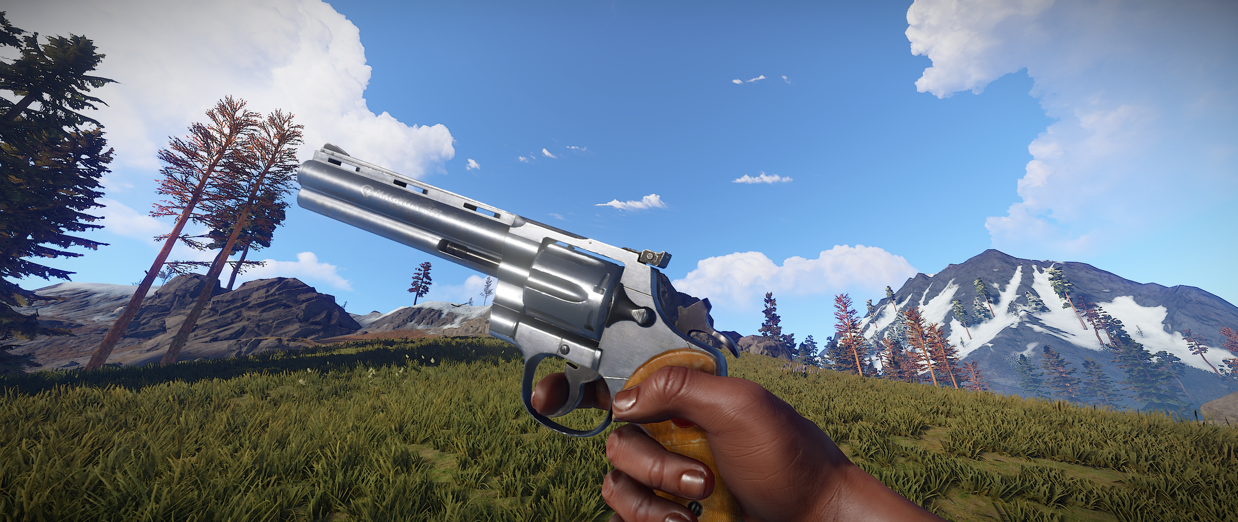 Rust 2017: Year in Review — Rustafied