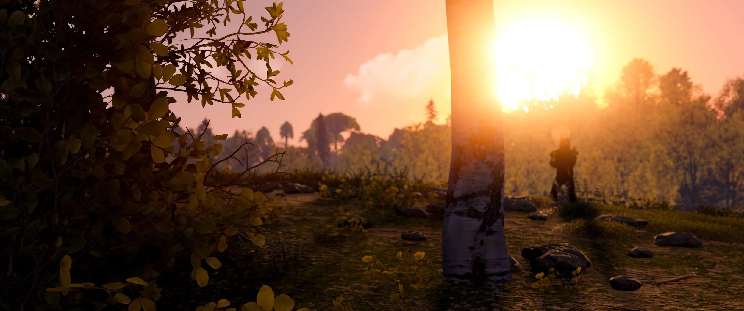 QoL and Forward Progress — Rustafied