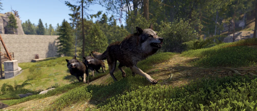 Frequently Asked Questions from Legacy Players — Rustafied