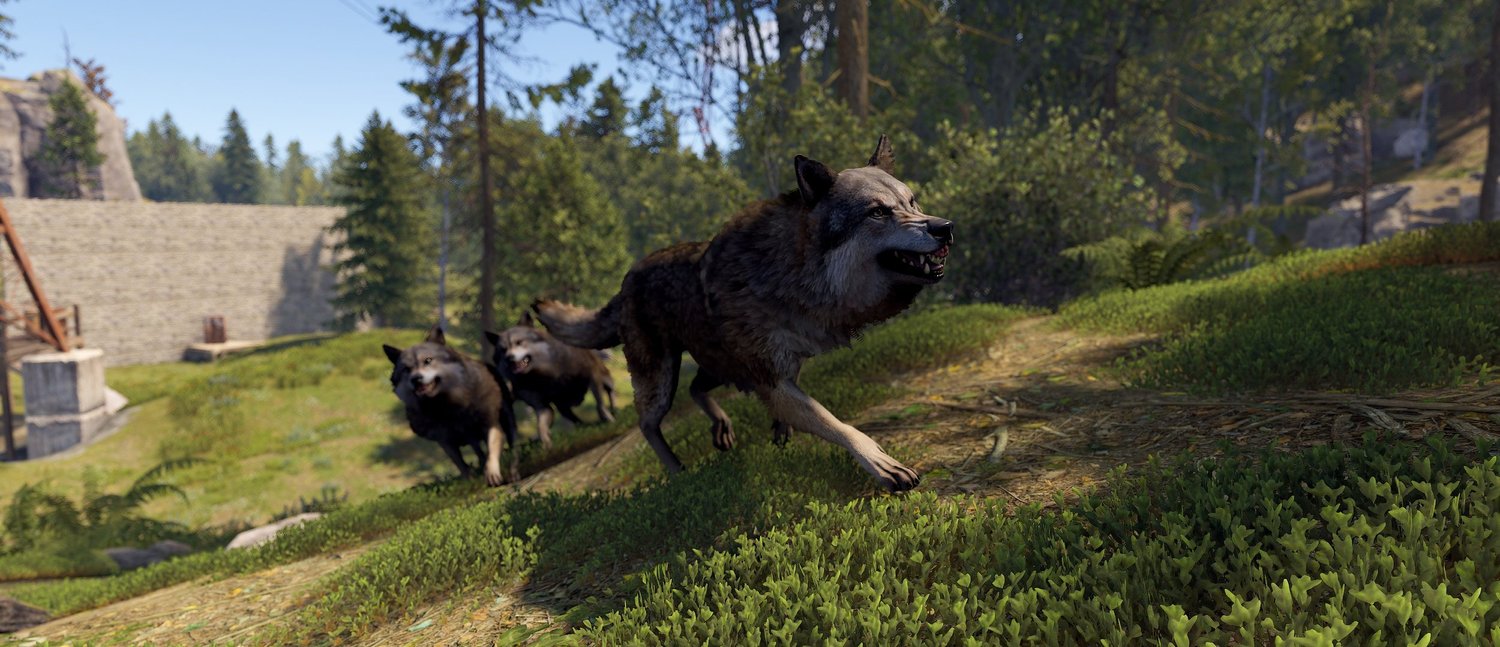 Frequently Asked Questions from Legacy Players — Rustafied