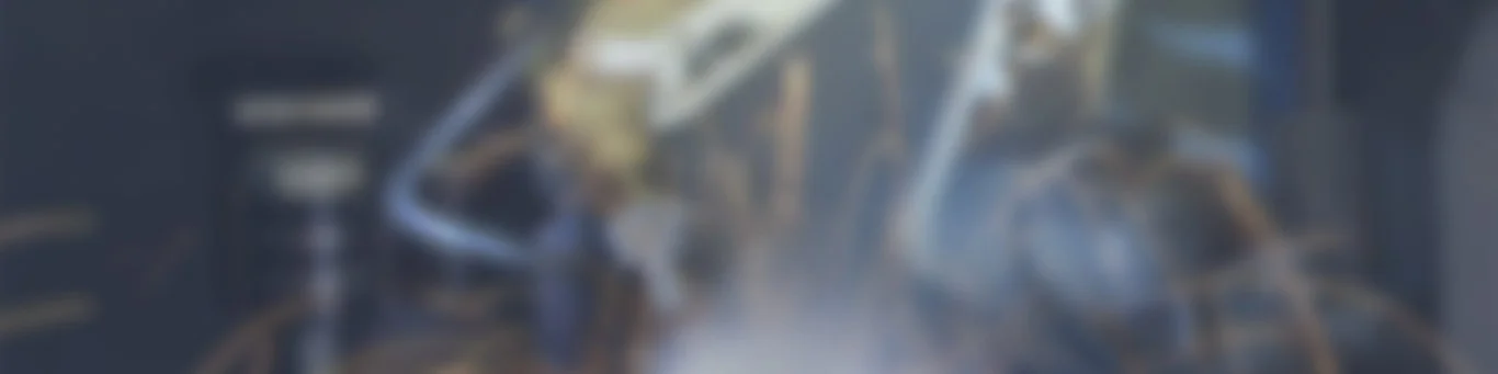 NASG Mexico, L.L.C. — North American Stamping Group