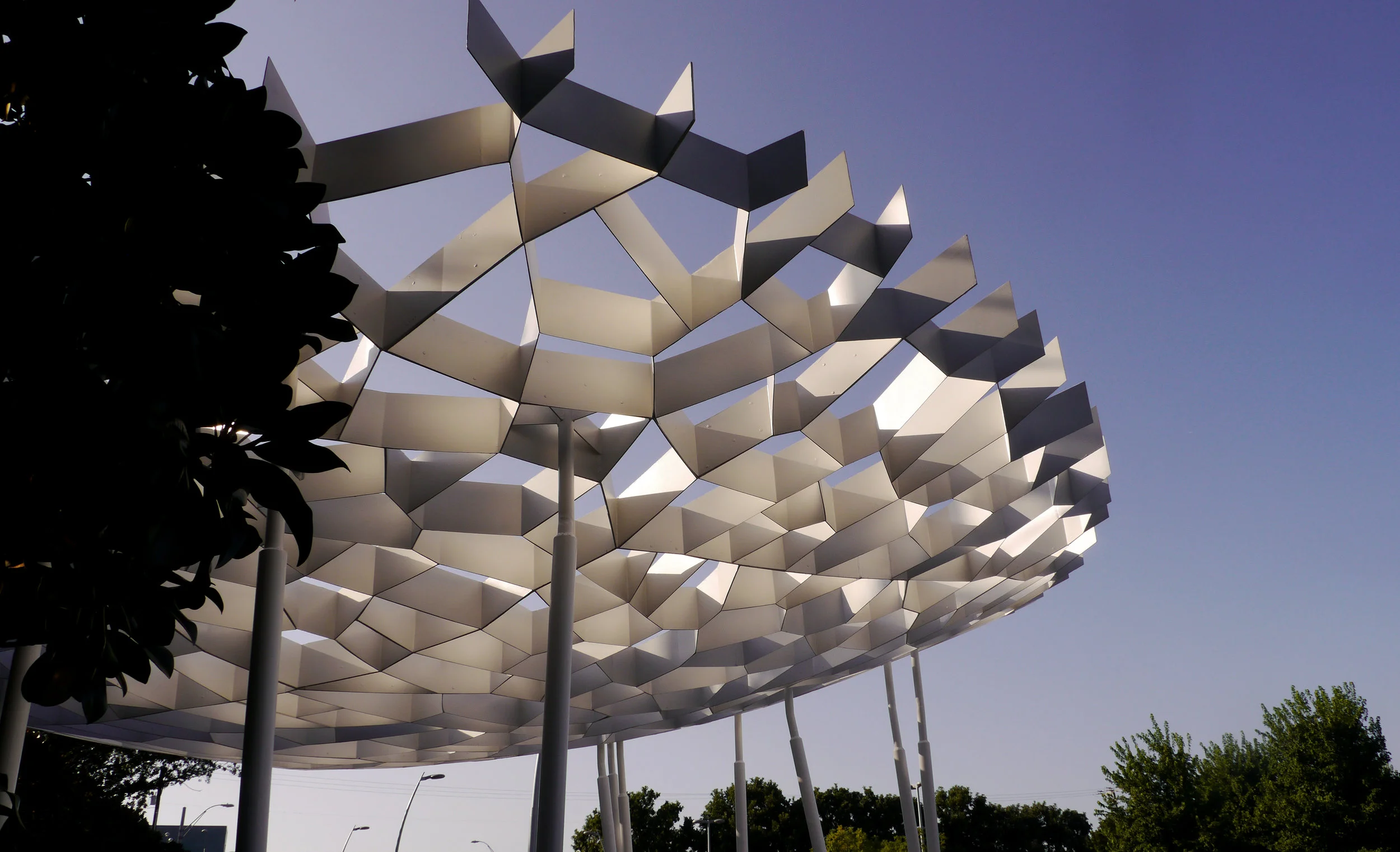 Leaf Structure — Murray Legge Architecture
