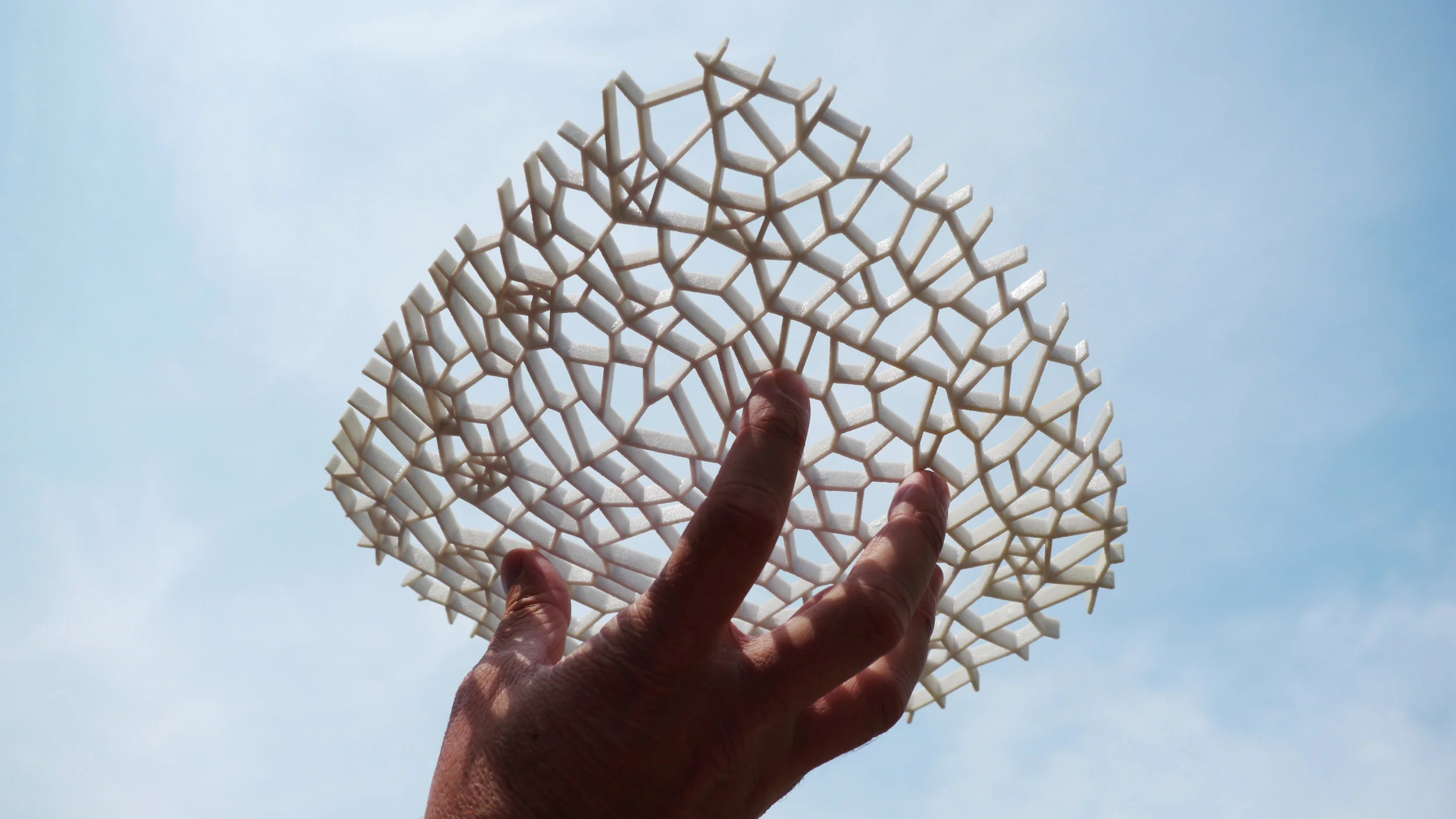 Leaf Structure — Murray Legge Architecture