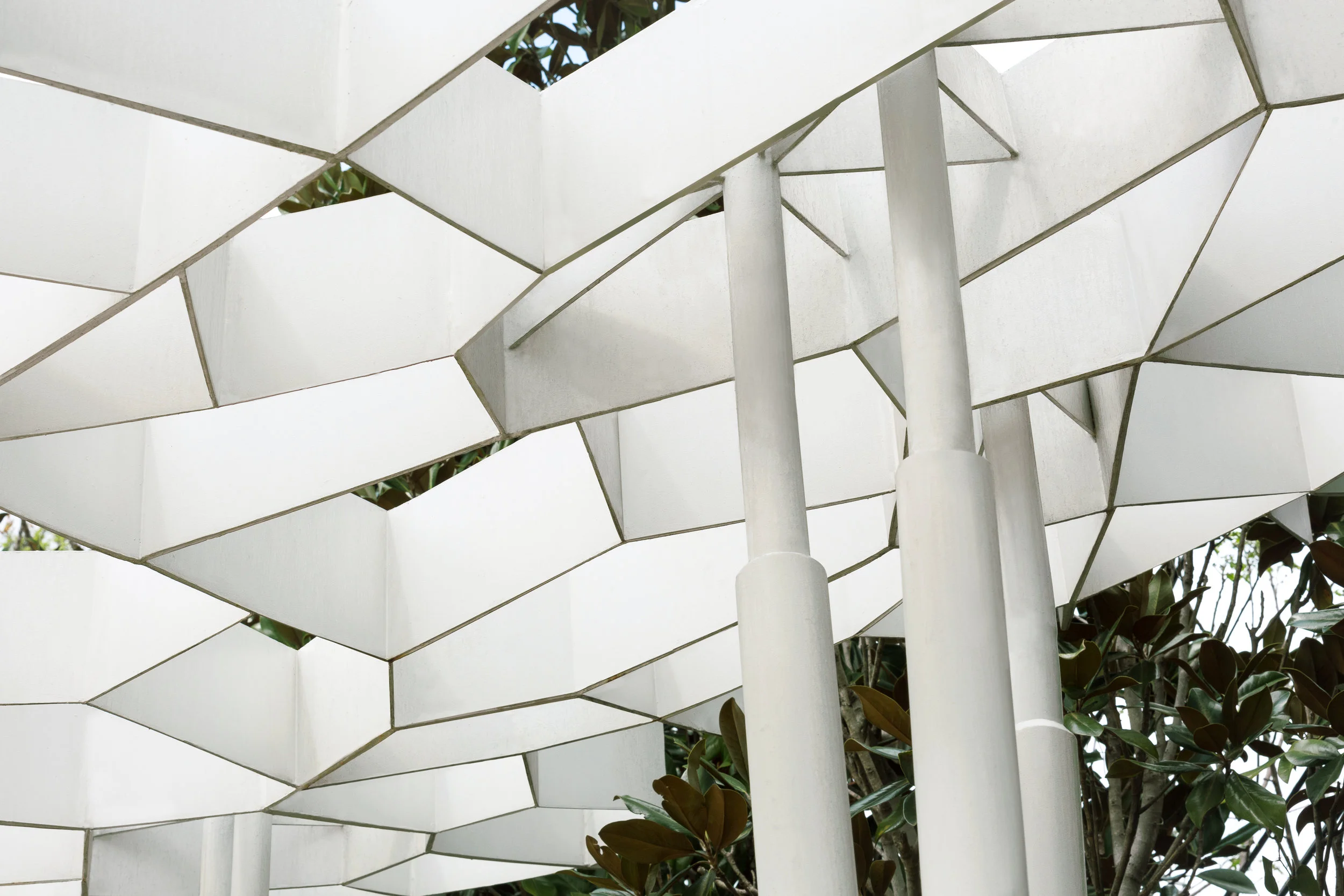 Leaf Structure — Murray Legge Architecture