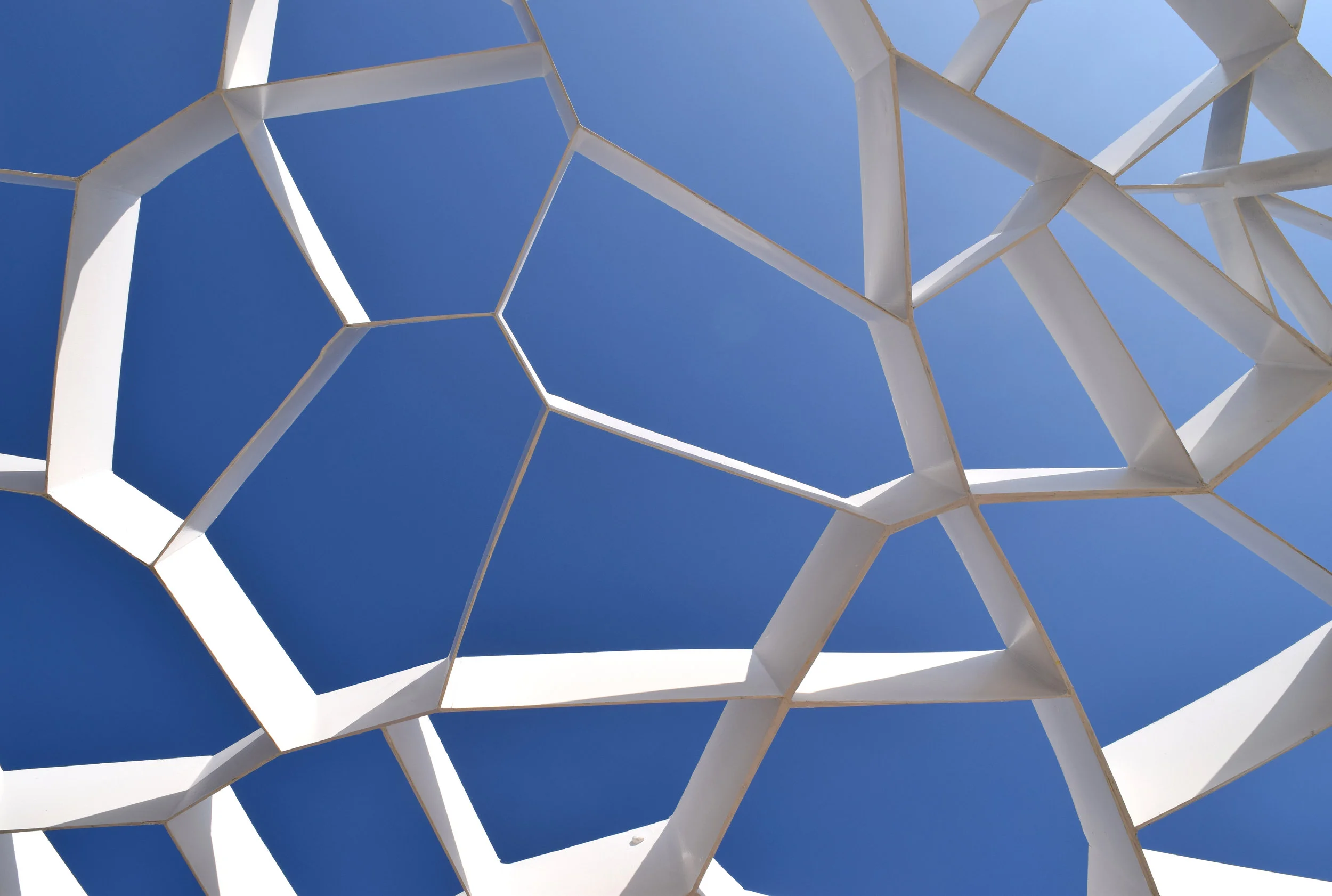 Leaf Structure — Murray Legge Architecture