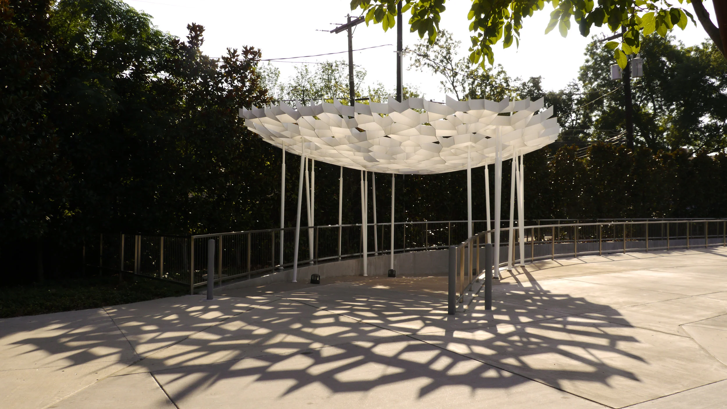 Leaf Structure — Murray Legge Architecture