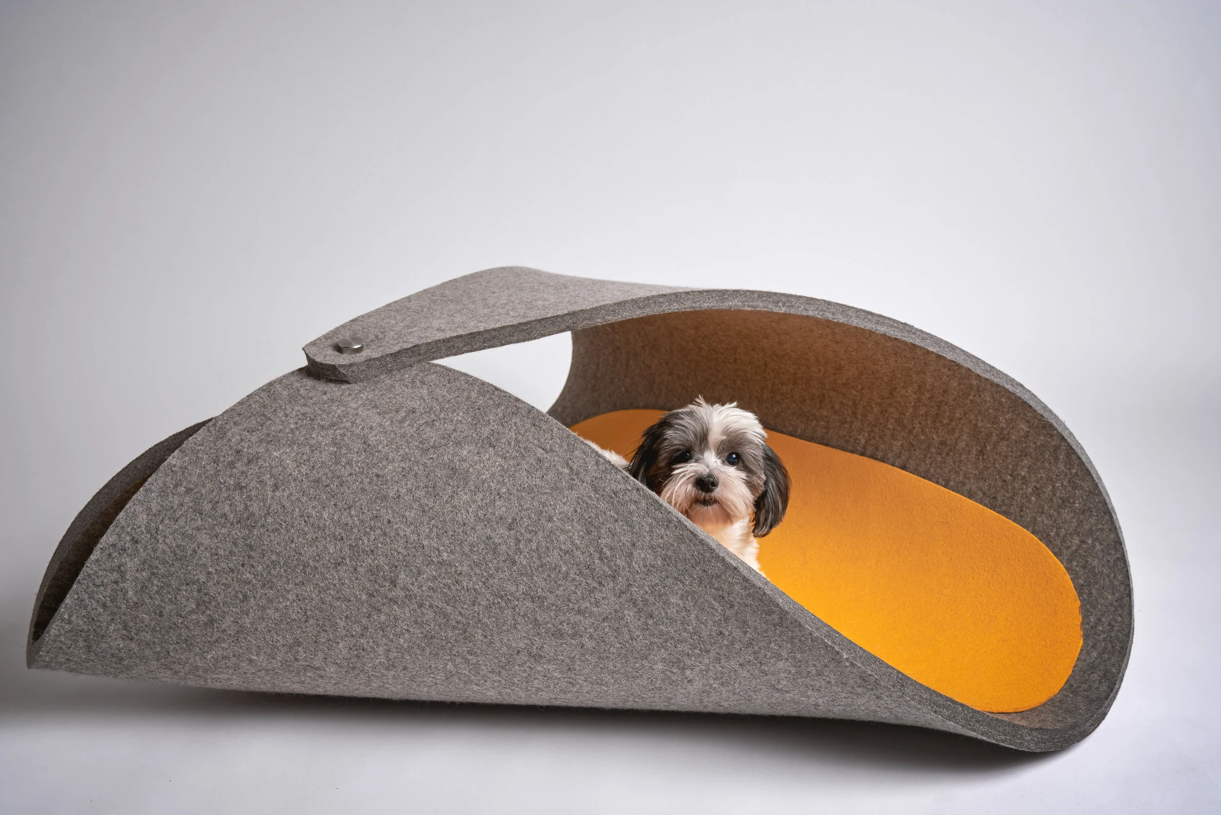 Soft Dog Den — Murray Legge Architecture