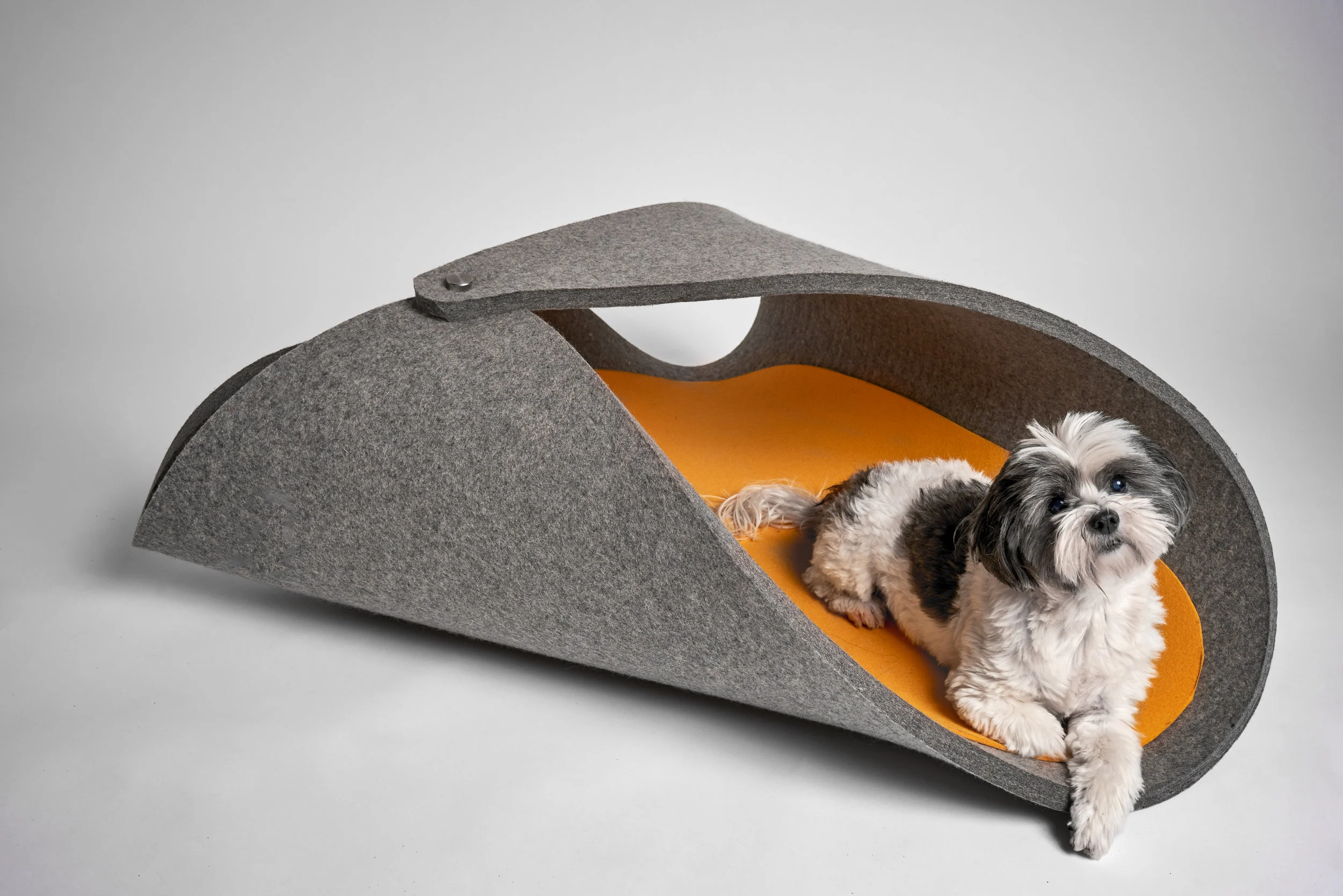 Soft Dog Den — Murray Legge Architecture