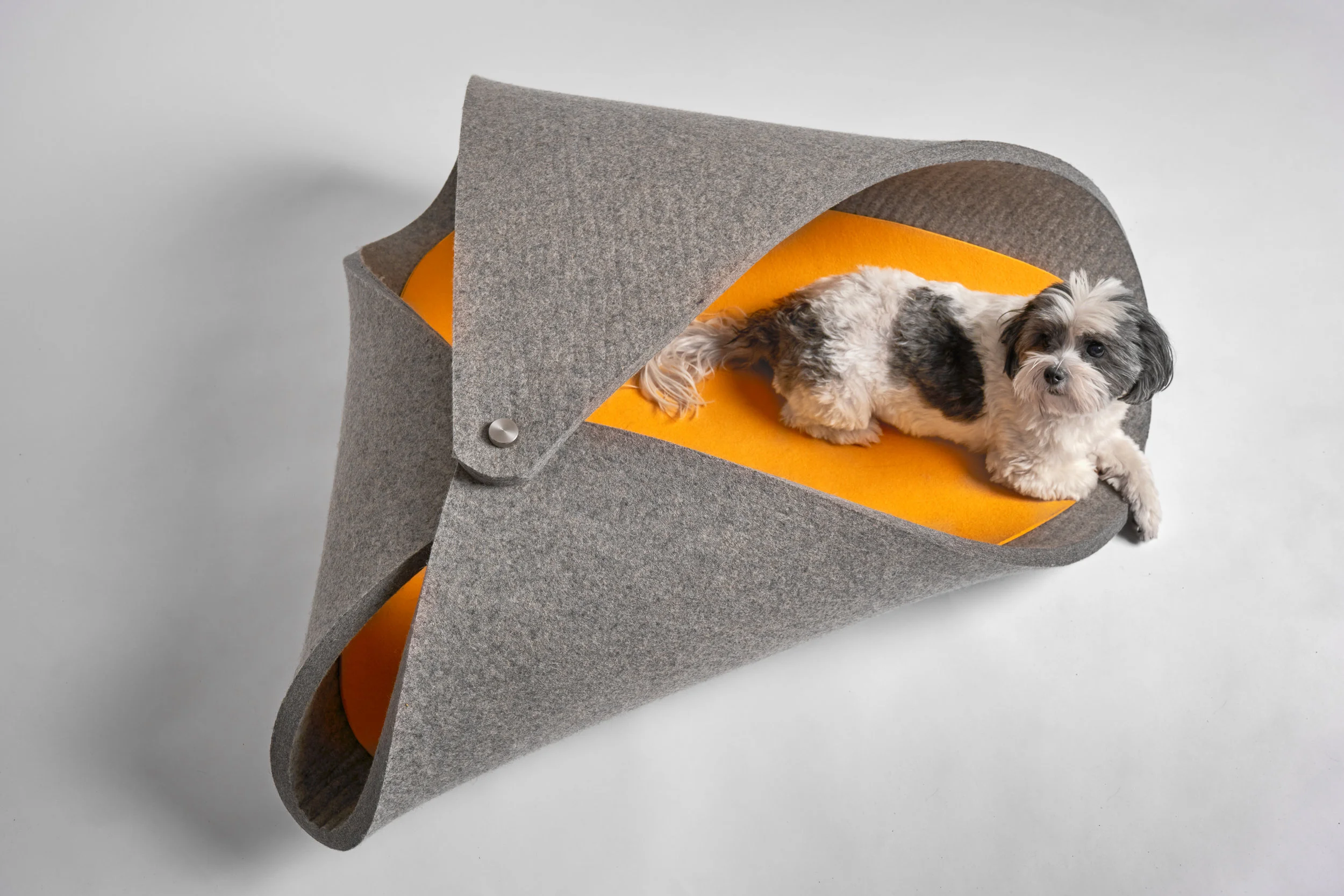 Soft Dog Den — Murray Legge Architecture