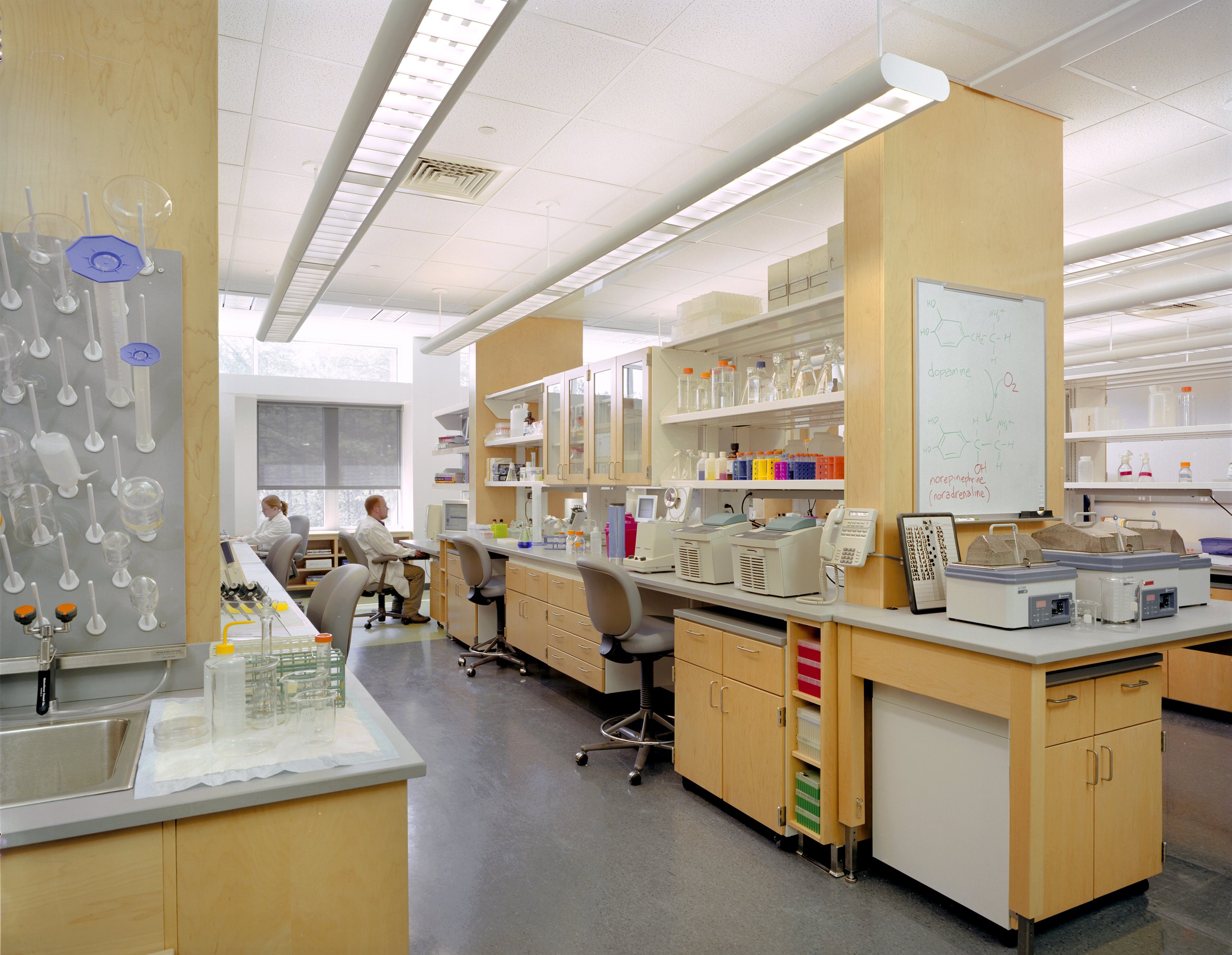 duke university center for human genetics — CANNONarchitects