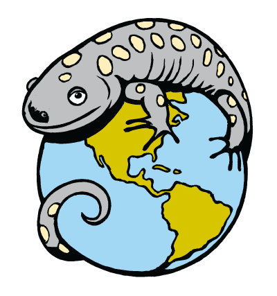 FBRA: French Broad River Academy