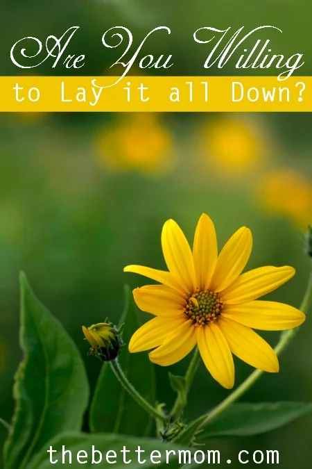Are You Willing to Lay it All Down? — The Better Mom