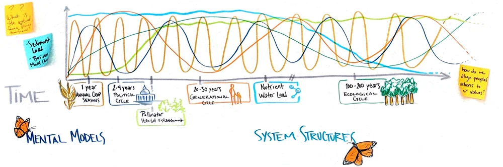 Chaos Clarified: Visualizing Systems Cycles — ConverSketch Graphic ...