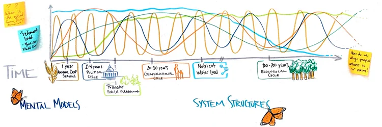 Chaos Clarified: Visualizing Systems Cycles — ConverSketch Graphic ...