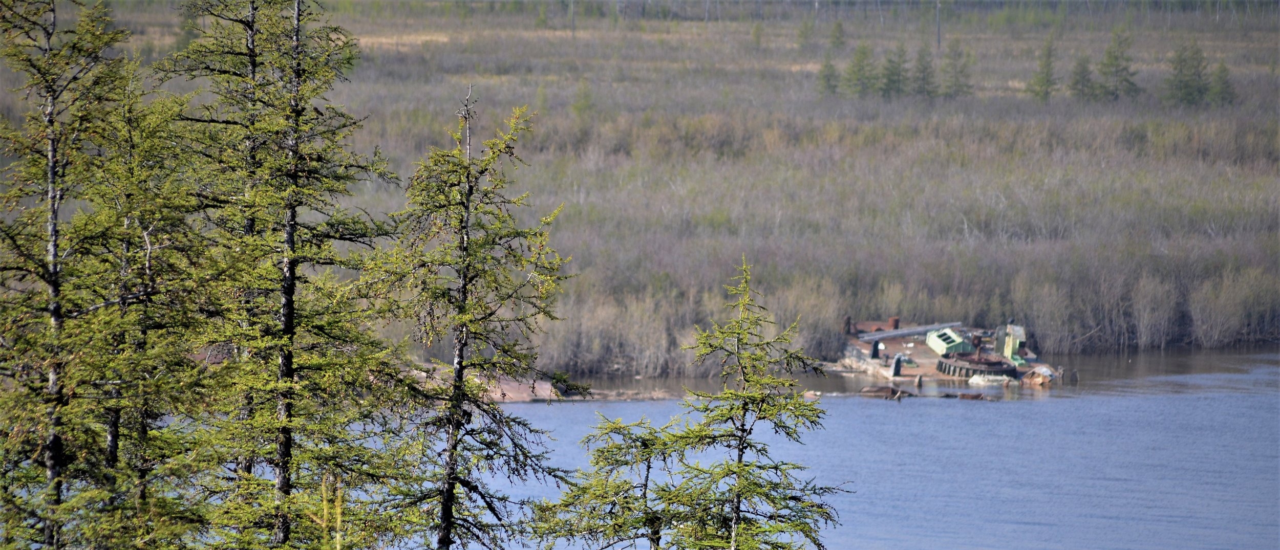 Research — Claire G. Griffin