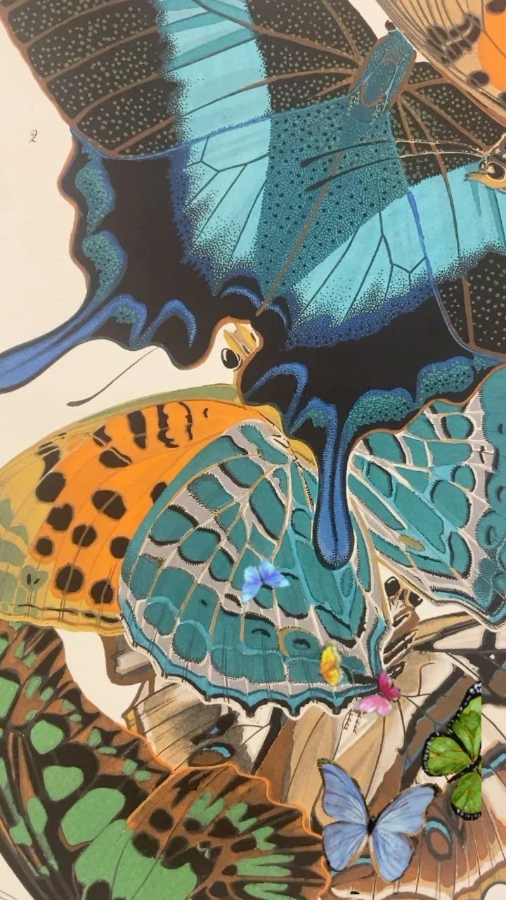 A Conversation with Fern Mallis — fashion