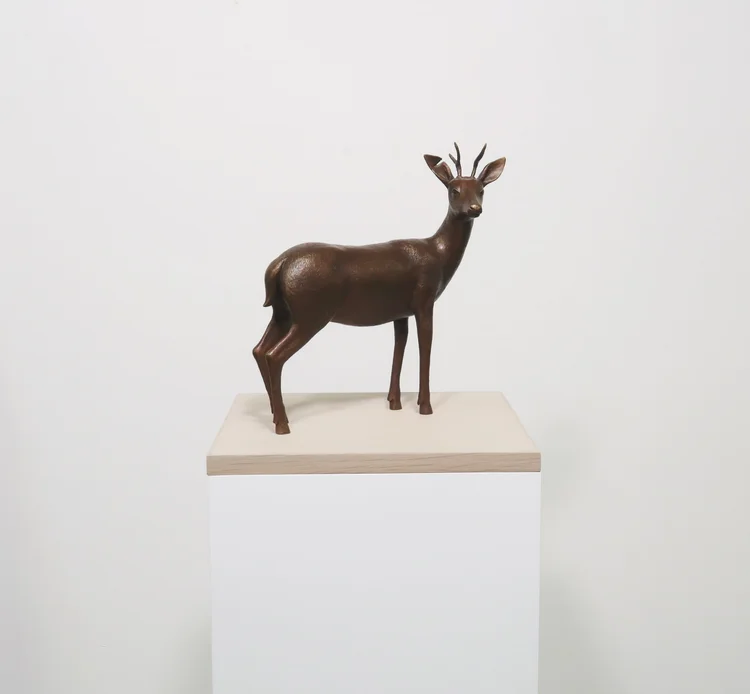 Superframe - Custom Framing