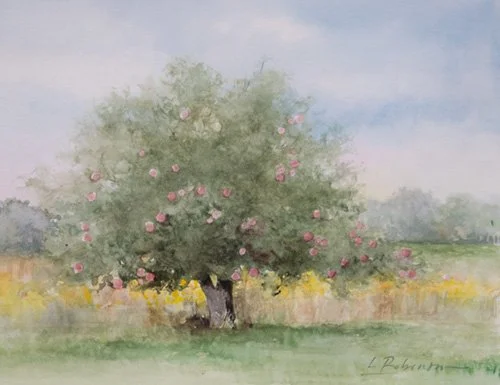 Summer's Work 2024 — Mill Art Center and Gallery