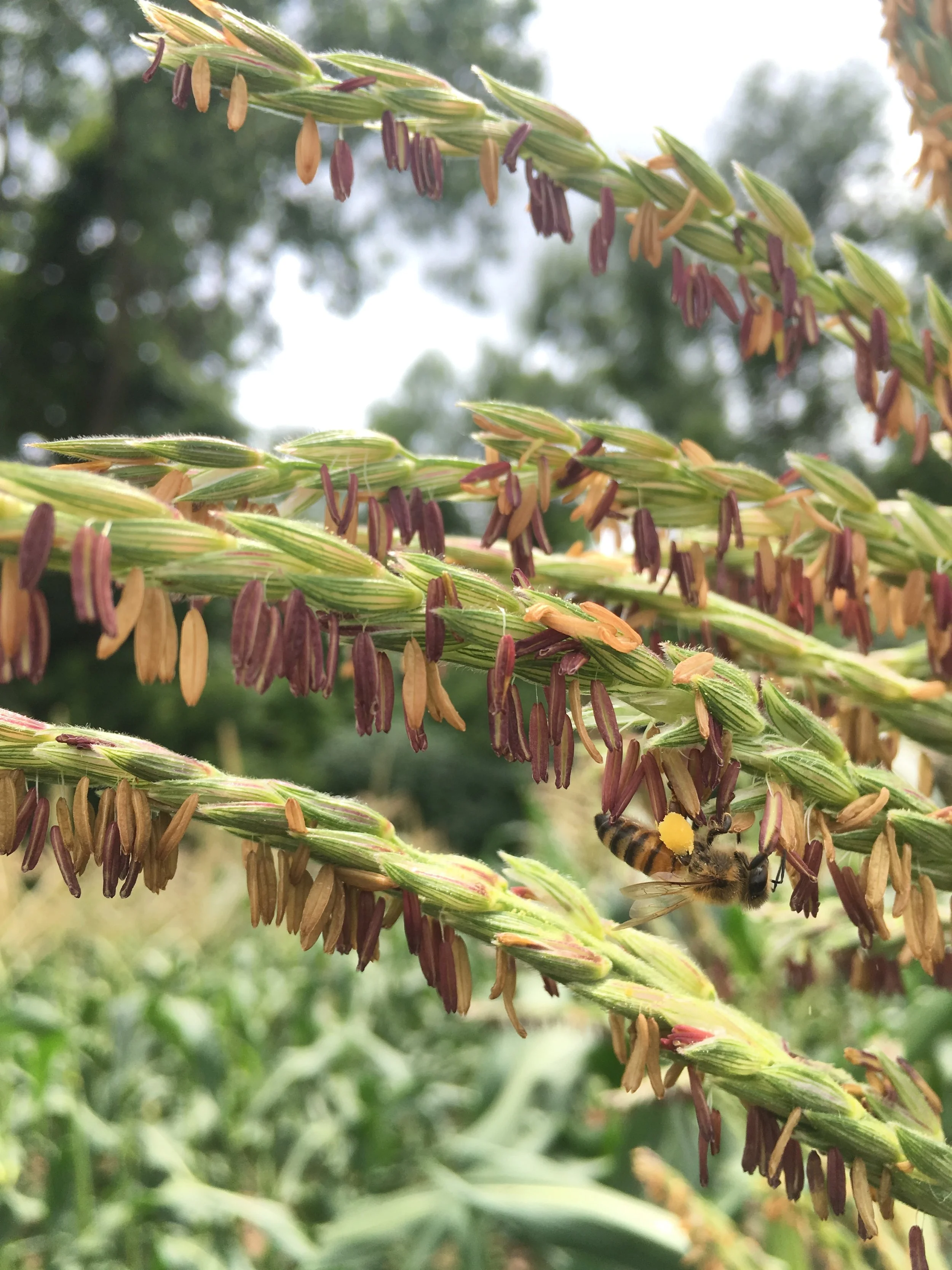 News/Blog — Kirby's Farm Market