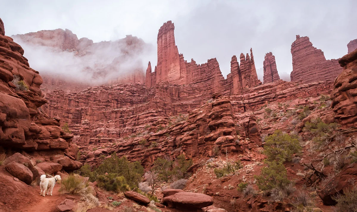 Traildog Sauntering to Fisher Towers — TrailDog Artisans Photography ...