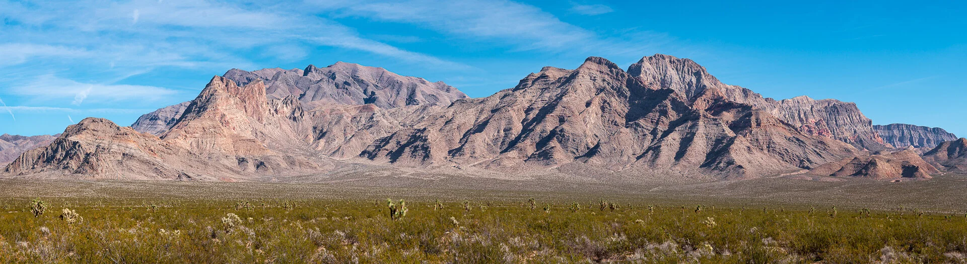 Joshua Tree National Natural Landmark — TrailDog Artisans Photography ...