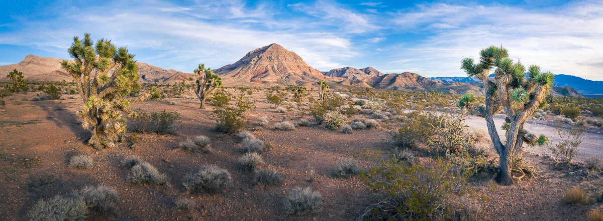 Joshua Tree National Natural Landmark — TrailDog Artisans Photography ...