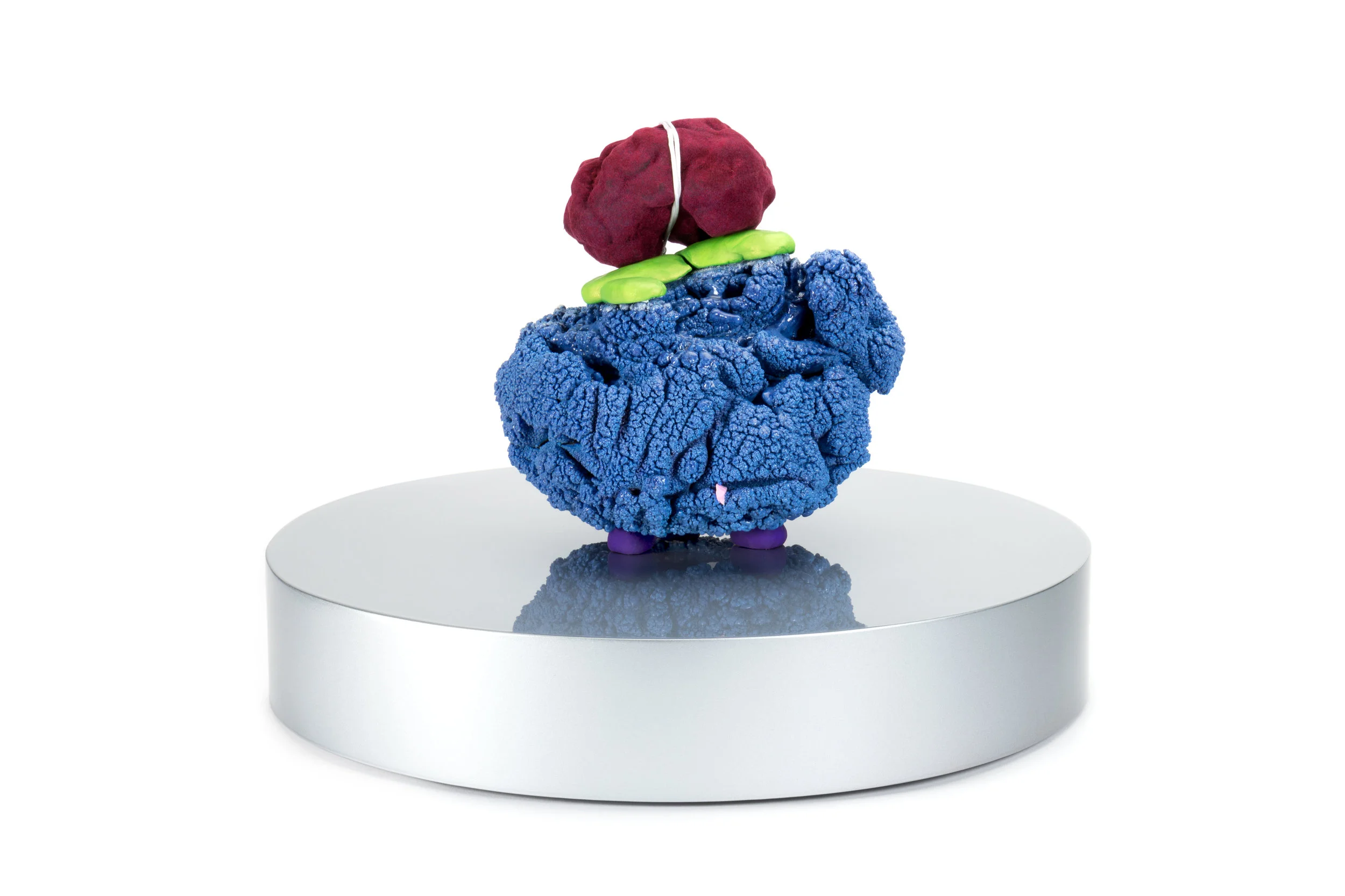 ≠≠≠≠≠≠≠ — John Souter