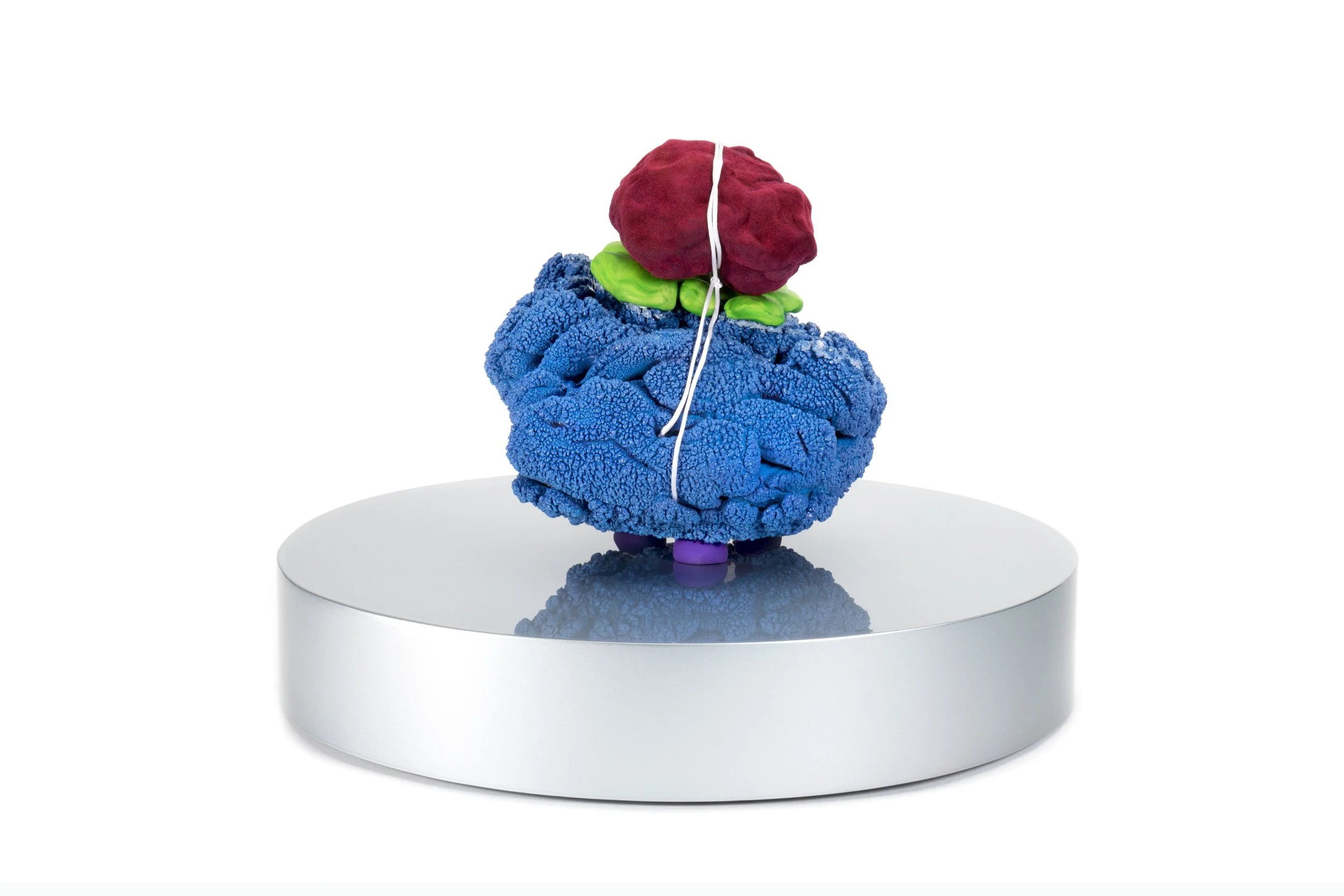 ≠≠≠≠≠≠≠ — John Souter