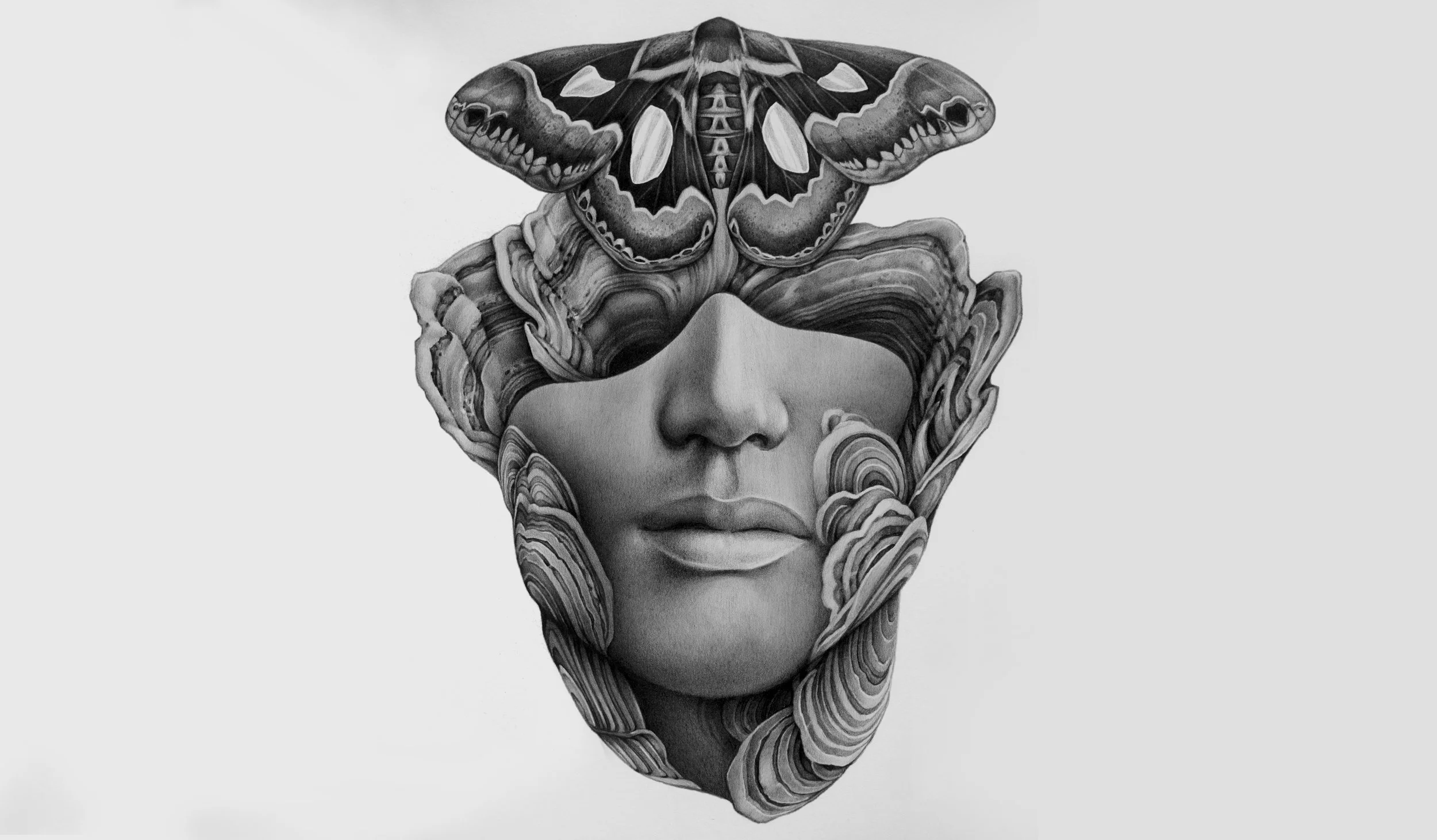 Collin Elder Collin Elder