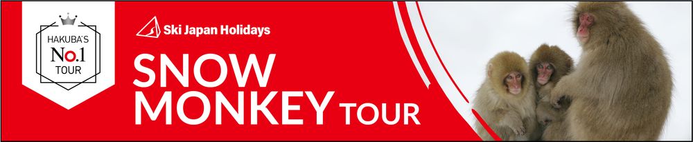 Snow Monkey Tour - Daily tours to Snow Monkeys