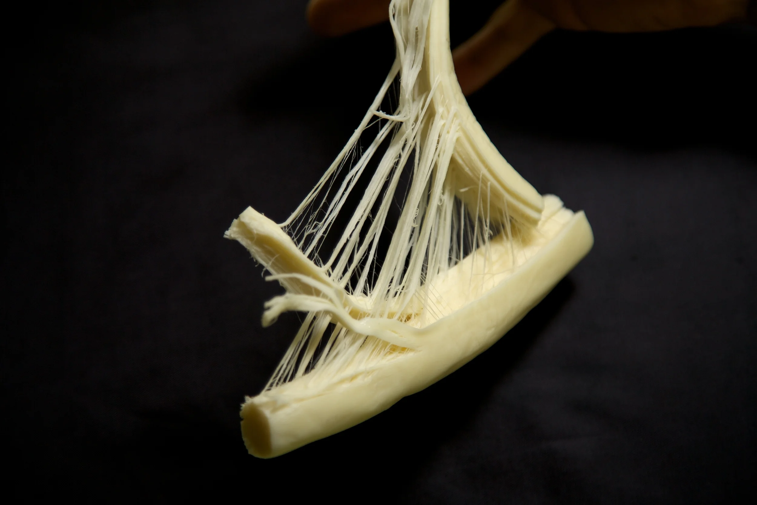 The Cheese People of Grand Rapids - ordering site