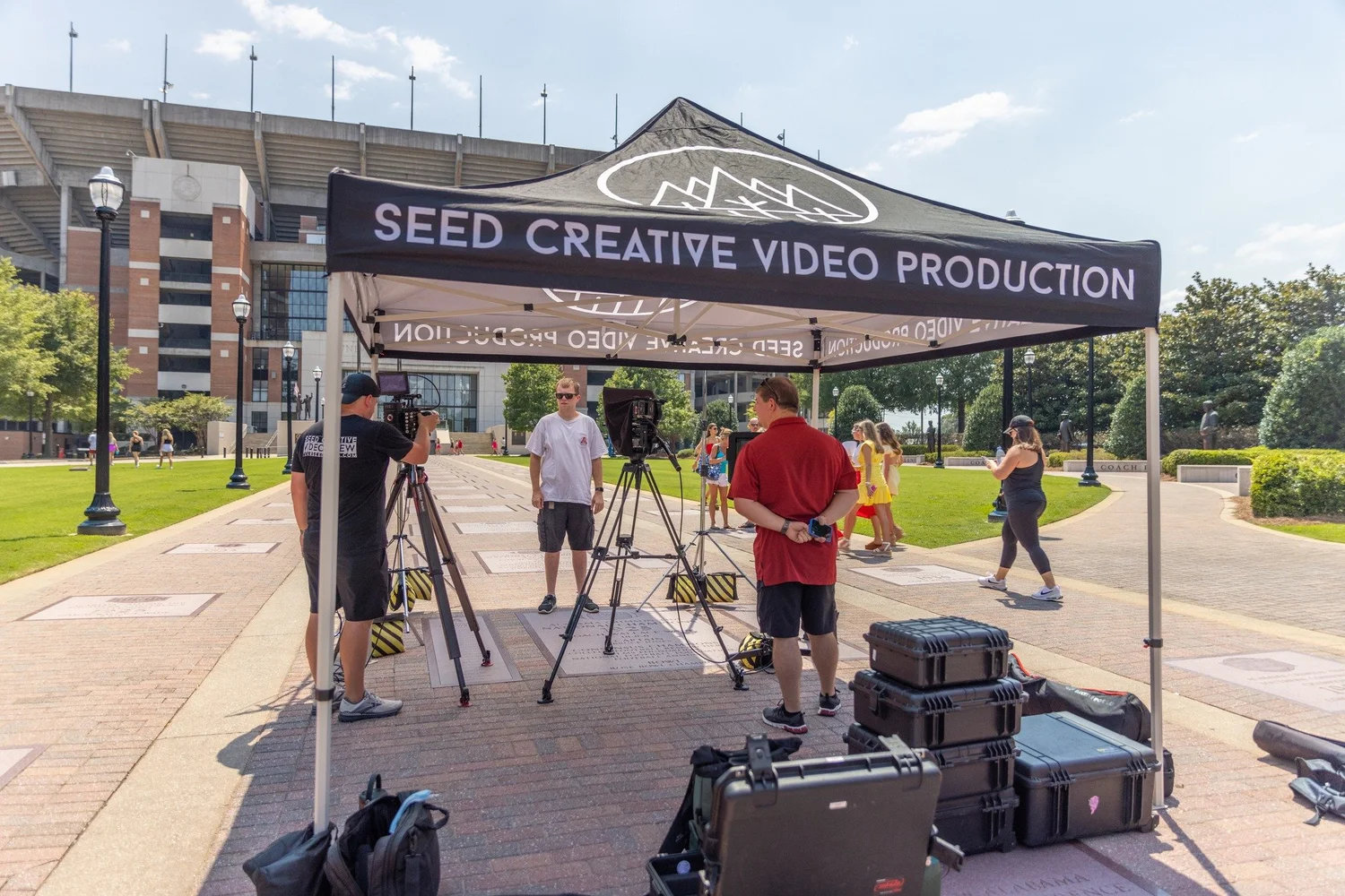 Seed Creative